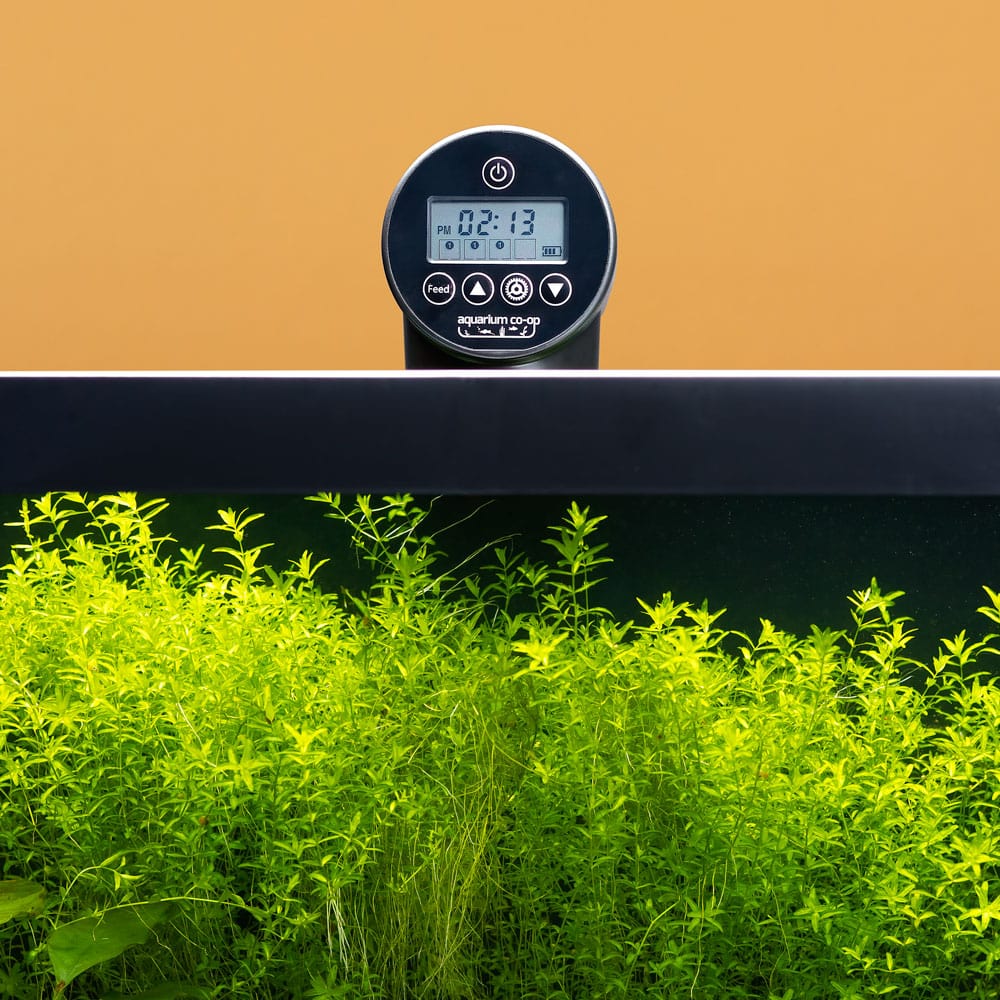 Aquarium Co-Op Auto Feeder | Automatic Fish Feeder for Fish Food