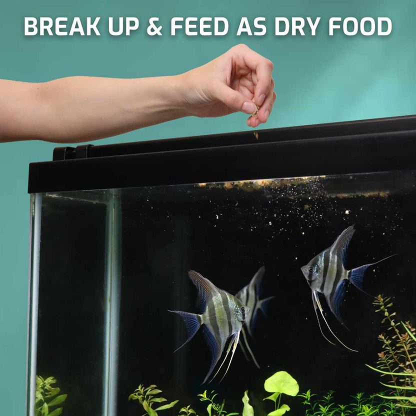 Aquarium Co-Op Freeze Dried Brine Shrimp | Aquarium Fish Food