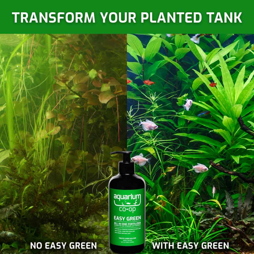 Easy Green All-in-One Fertilizer | Aquarium Plant Fertilizer – Aquarium ...