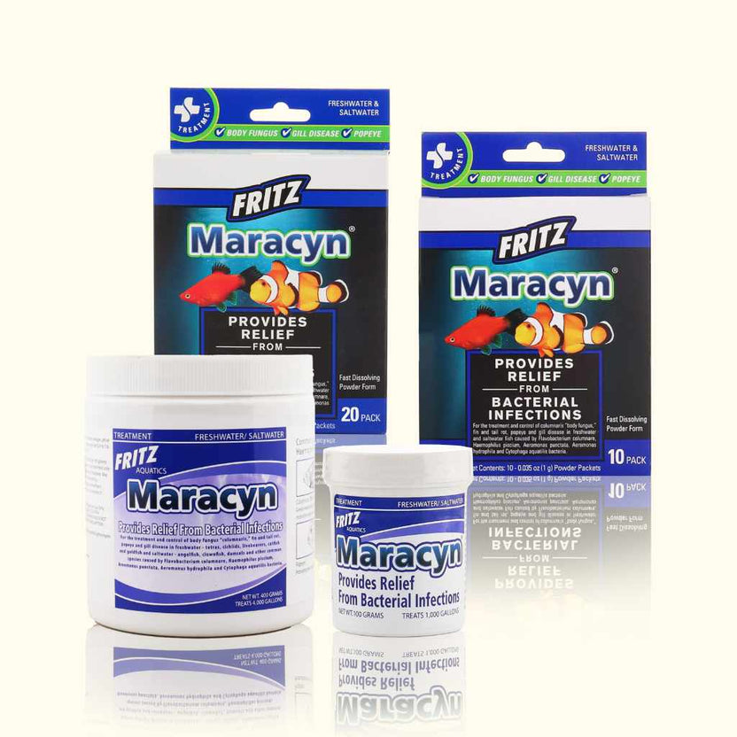 Fritz Maracyn | Fish Antibiotic | Fish Medicine for Bacterial Disease ...