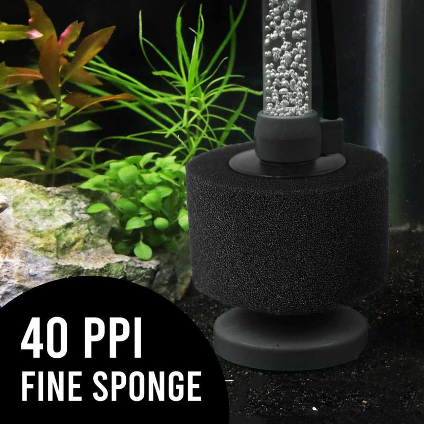 Black Easy Flow Sponge Filter (fine)| Aquarium Filter for Fish Tanks ...