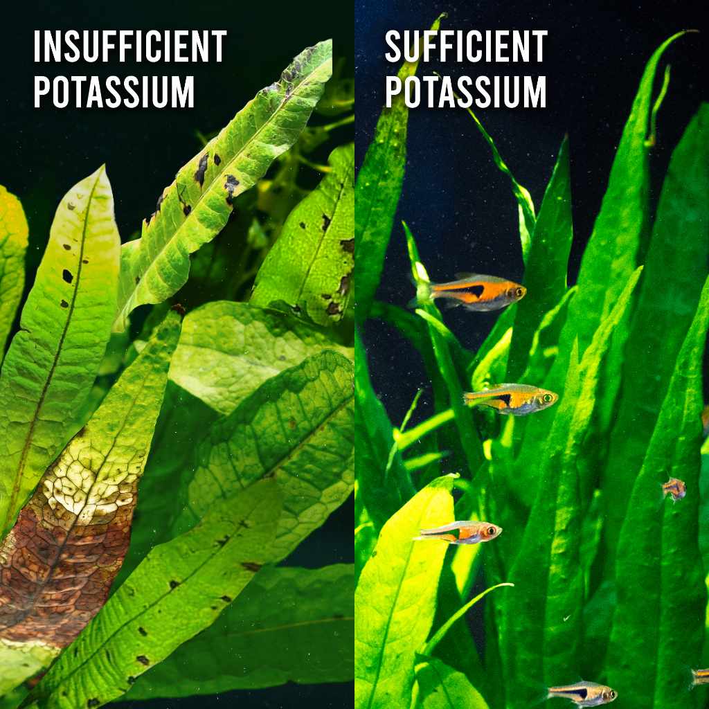Easy Potassium | Potassium for Aquarium Plants | Fish Tank Fertilizer ...