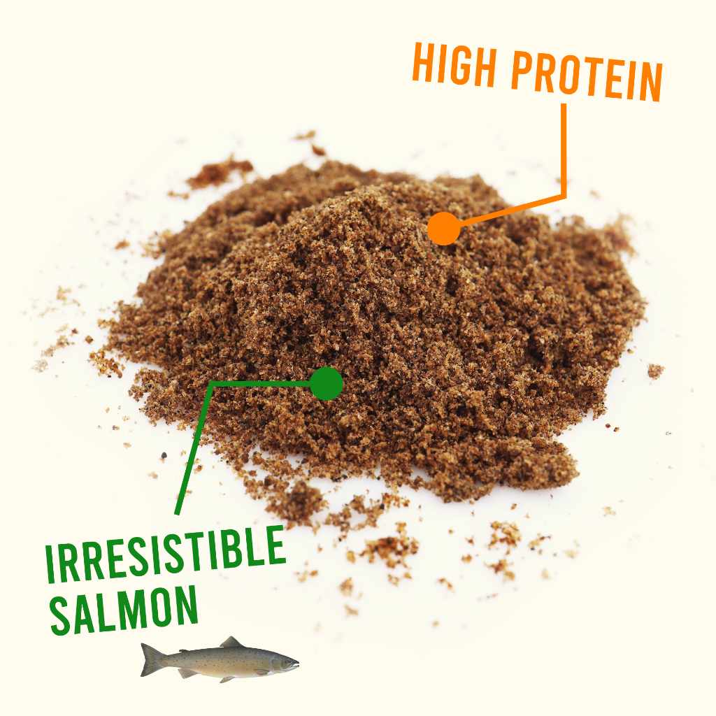 Aquarium Co-Op Easy Fry Food | Aquarium Fish Food for Nano Fish & Fry