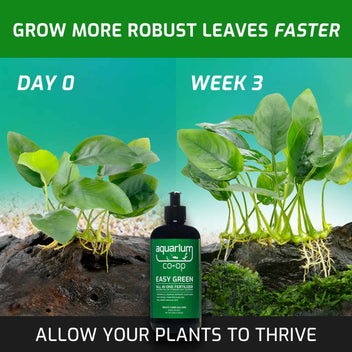 Easy Green All-in-One Fertilizer | Aquarium Plant Fertilizer – Aquarium ...