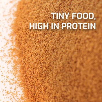 Magic Small Fish Feed | Aquarium Co-Op Fish Food for Small Fish, Fry ...