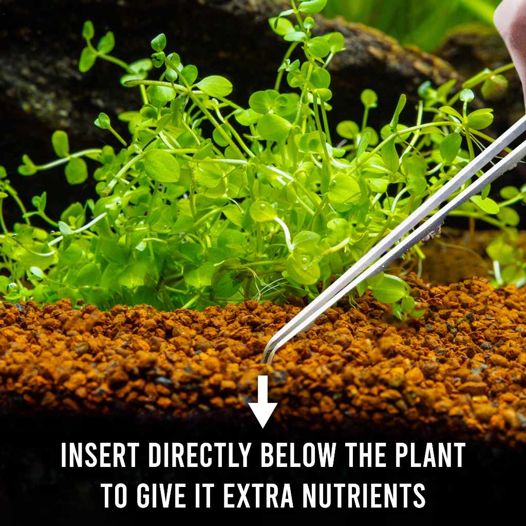 Easy Root Tabs | Aquarium Plant Fertilizer Made of Enriched Soil ...