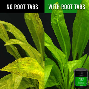 Easy Root Tabs | Aquarium Plant Fertilizer Made of Enriched Soil ...